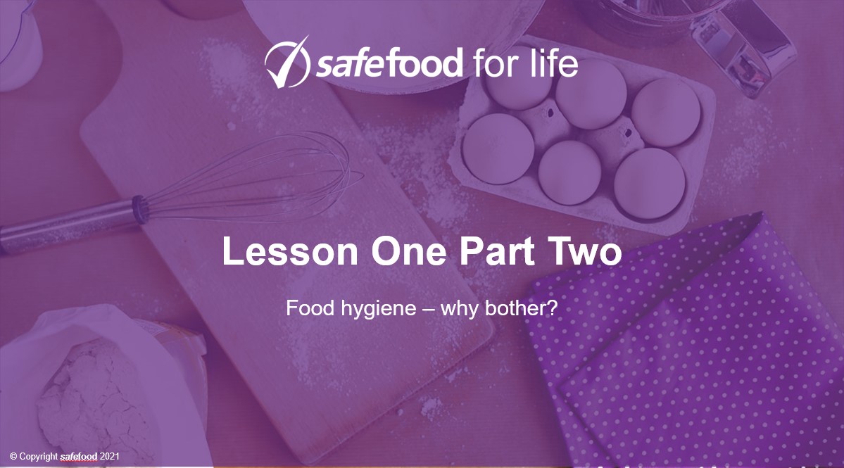 safefood for life | safefood education