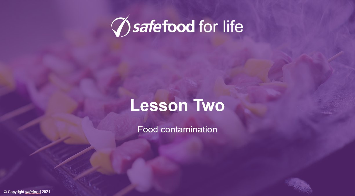 safefood for life | safefood education