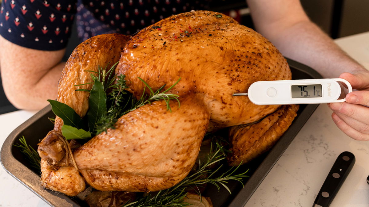 Use a meat thermometer to avoid a dry or undercooked turkey Safefood